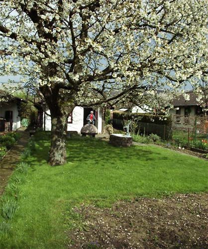 クラインガルテン / Kleingarten