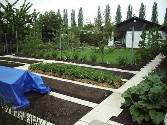 クラインガルテンの春 / Kleingarten im Fruehling